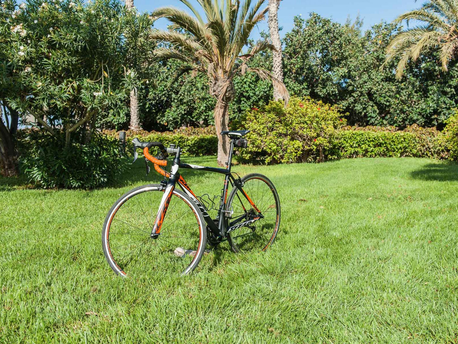 VOLCANO BIKE RENTAL - Road bikes Mountainbikes Fatbikes EBikes Citybikes